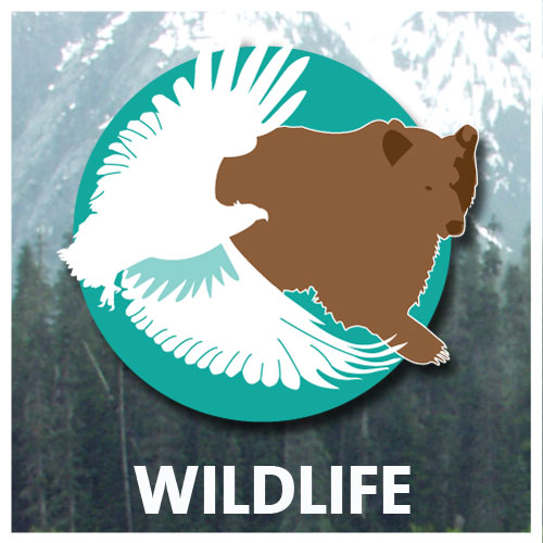 Wilderness Committee | An Organization that Believes in Action - Canada ...